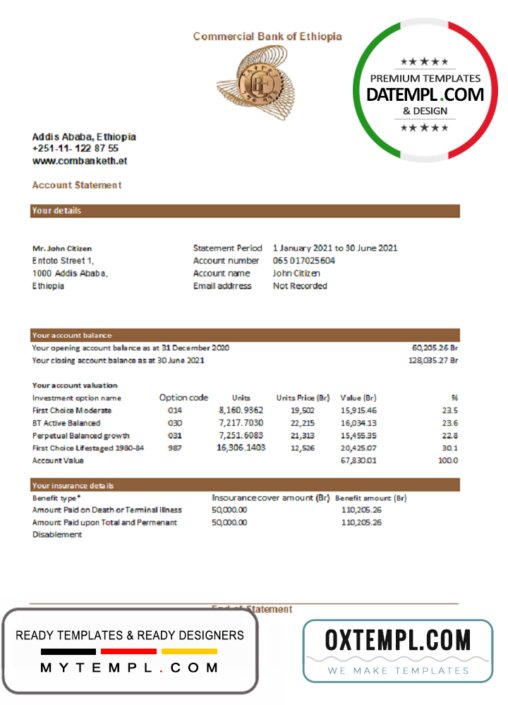 Ethiopia Commercial Bank statement easy to fill template in Excel and PDF format | download at ...