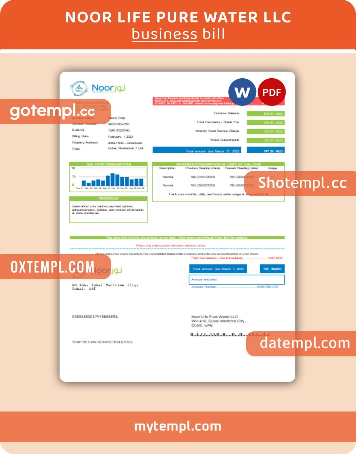Noor Life Pure Water LLC business utility bill,PDF and WORD template ...